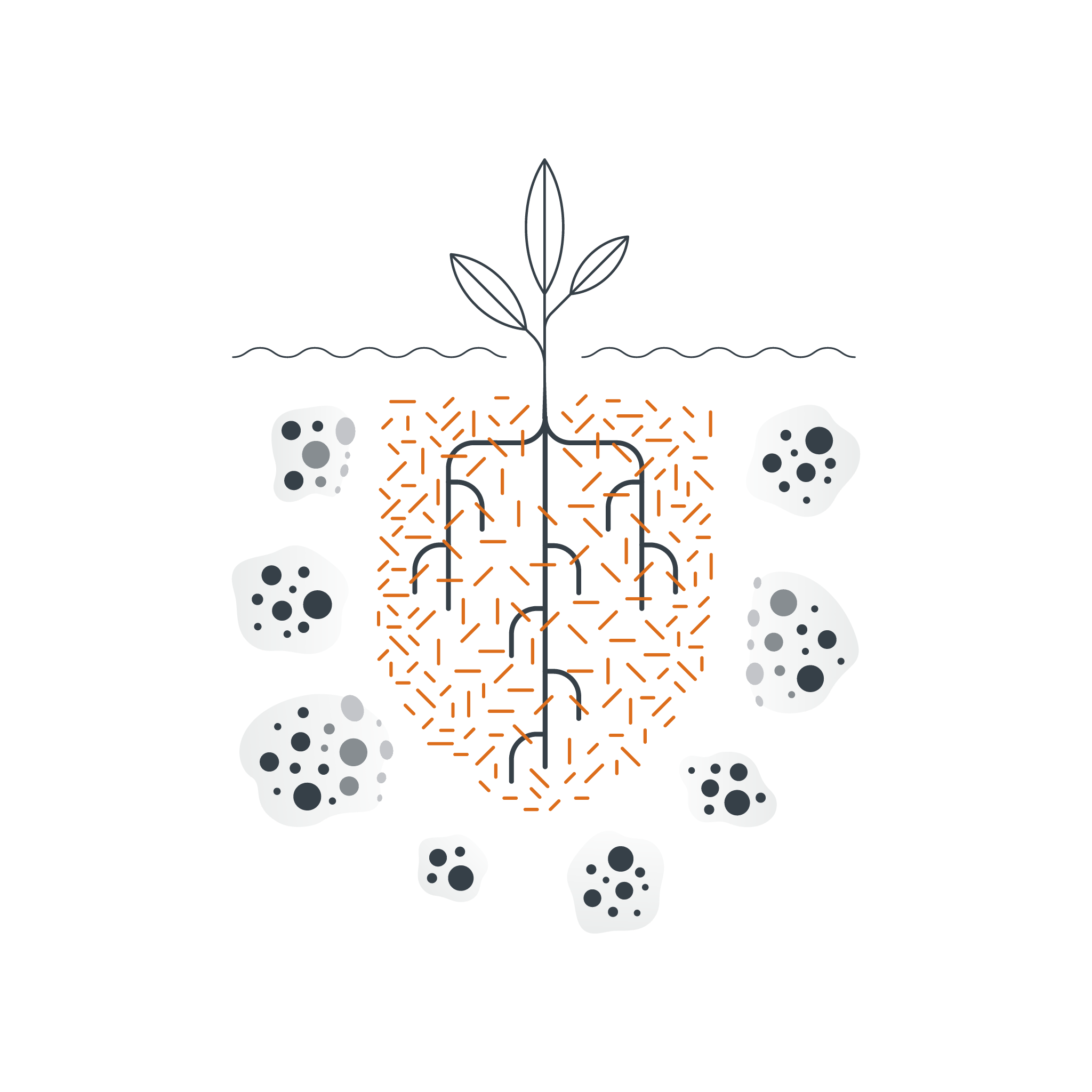 Microbiological processes in crop soil • Bioversija