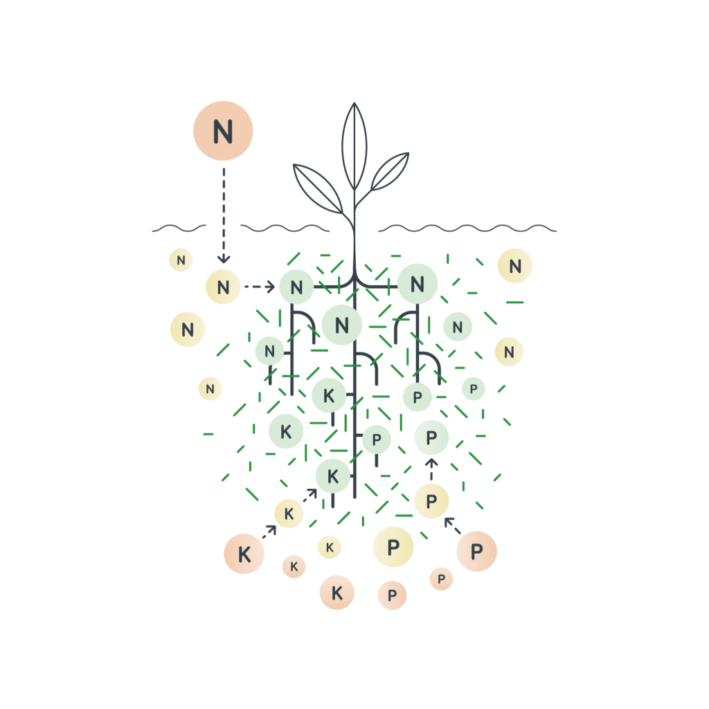 Microbiological processes in crop soil • Bioversija