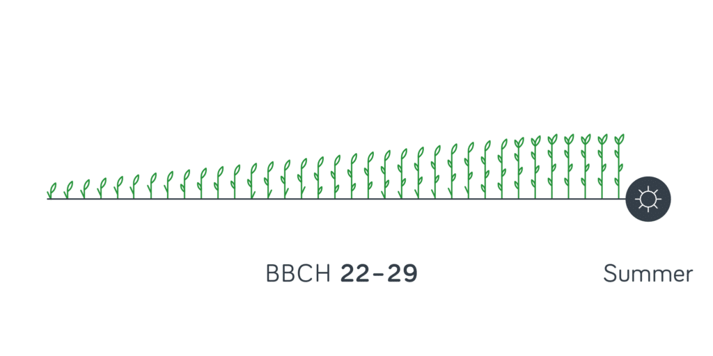 Microbiological processes in crop soil • Bioversija